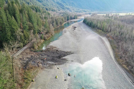 Why Fraser River oil spill took nearly 3 months...