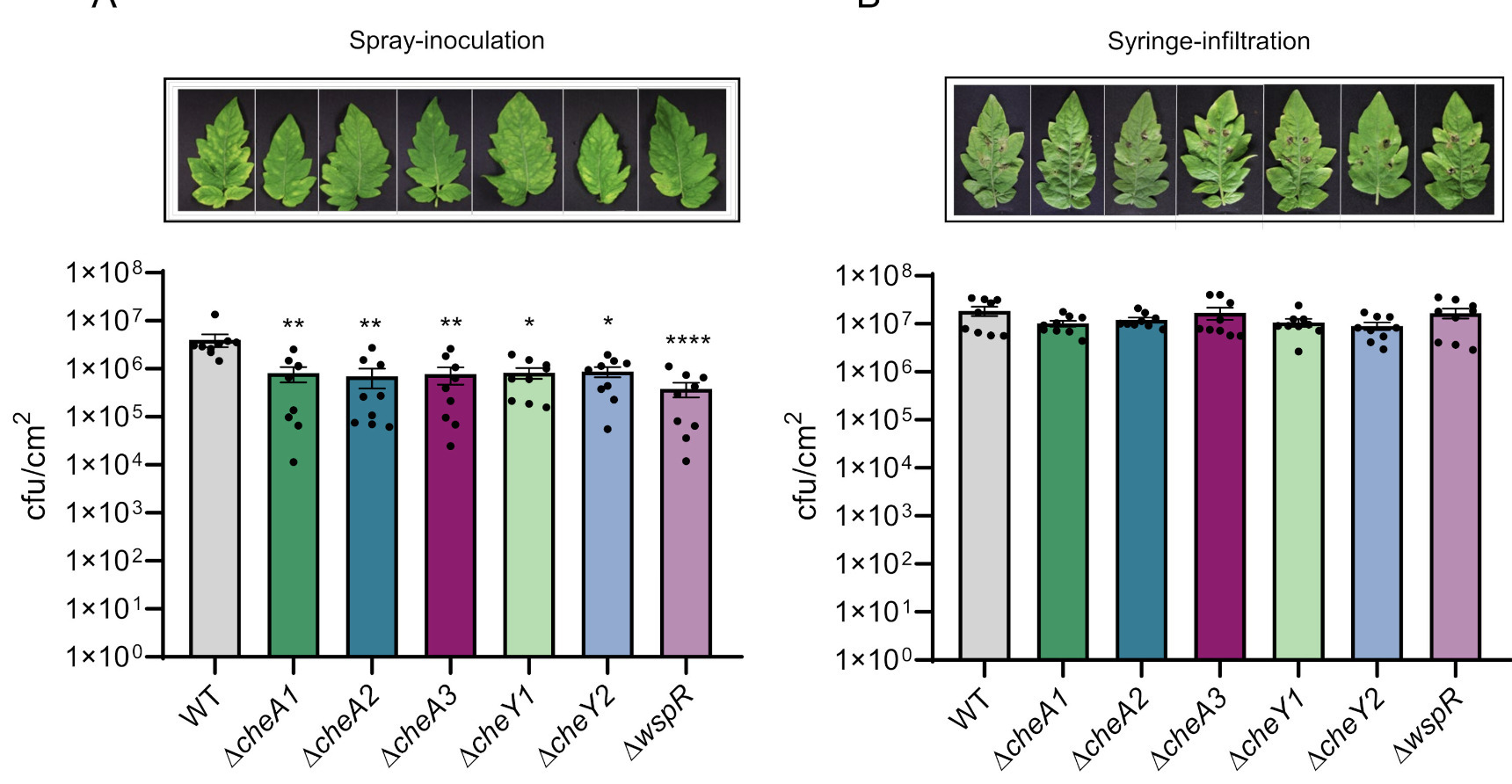 Chemosensory systems interact to shape relevant...