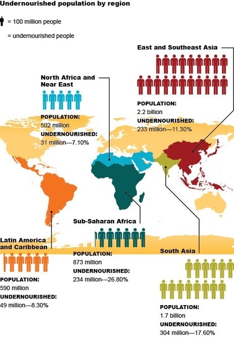 Infographic on Global Undernourishment | Food