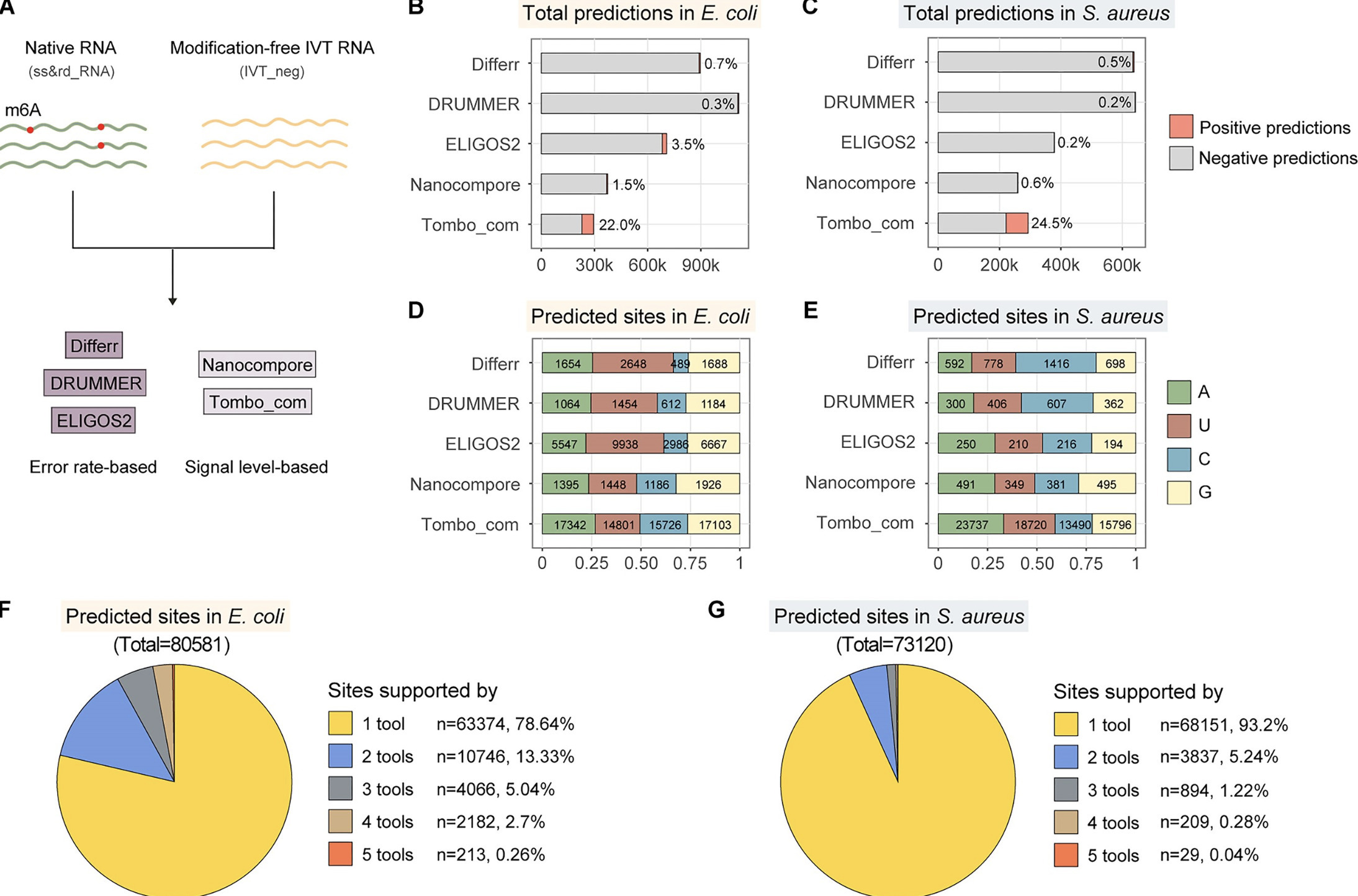 Analysis of bacterial transcriptome and epitran...