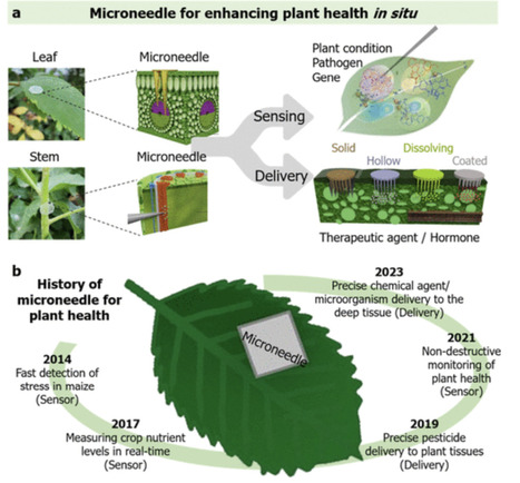 Extraction Methods Determine the Quality of Soi...