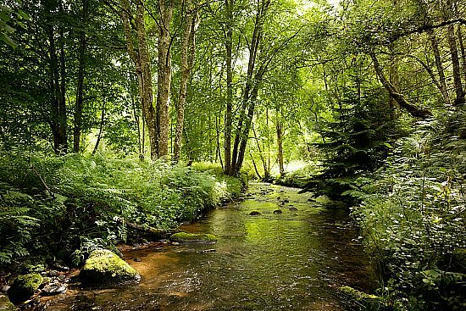 Transition Black Isle | Welcome to the Age of T...