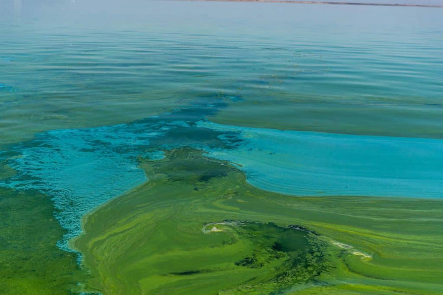 The Impact of Rising Ocean Temperatures on Huma...