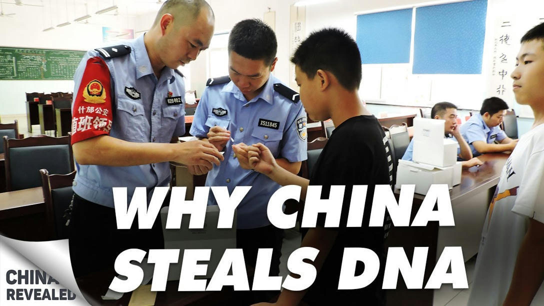 Reasons Behind Chinese Regime’s DNA Theft...