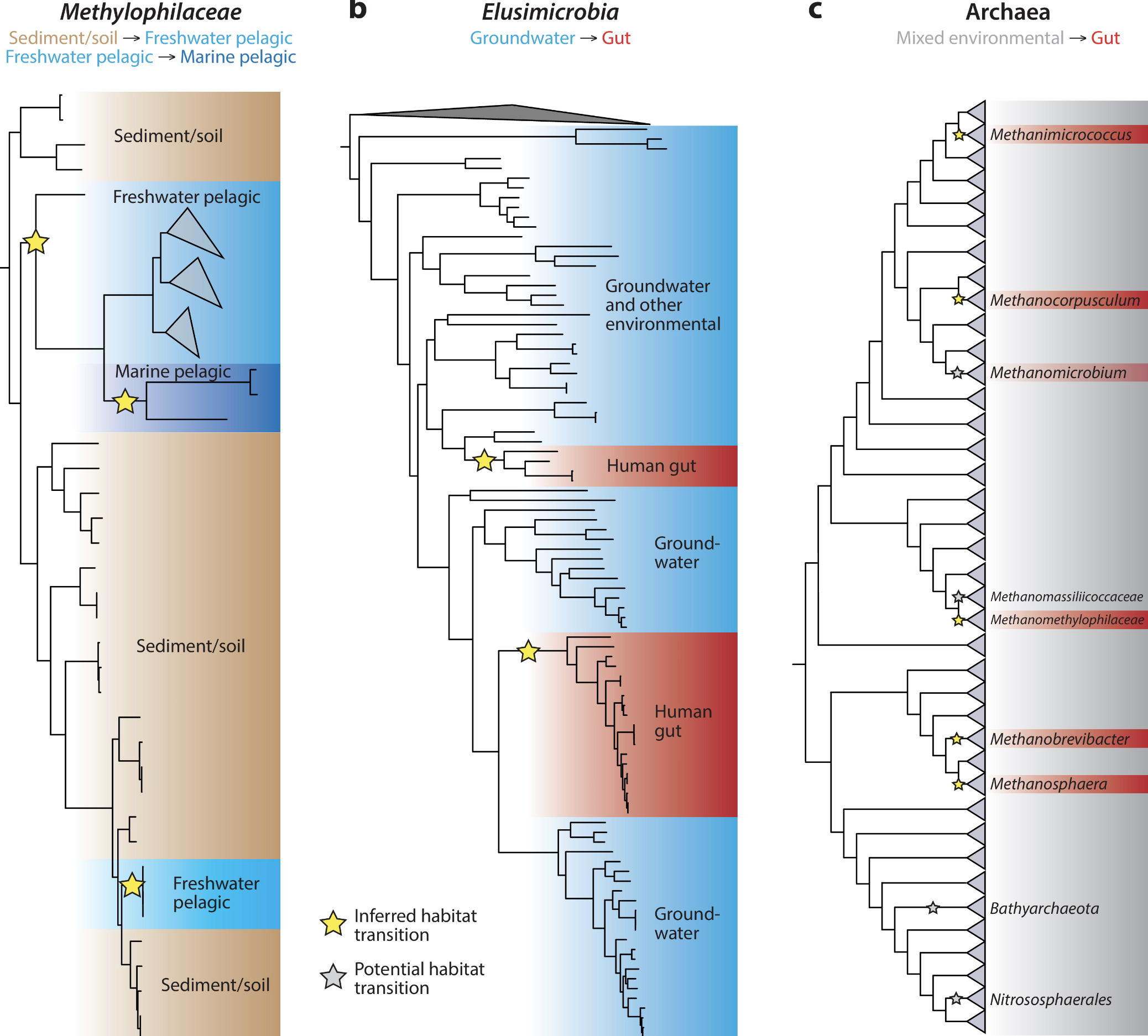 Habitat Transition in the Evolution of Bacteria...